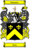 Heins coat of arms / Heins Family Crest