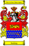 Hocking coat of arms / Hocking Family Crest
