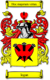 Logan Irish coat of arms / Logan Irish Family Crest
