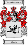 Marvin coat of arms / Marvin Family Crest