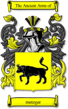 Metzger coat of arms / Metzger Family Crest
