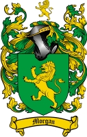 Morgan coat of arms / Morgan Family Crest