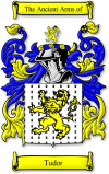 Tudor coat of arms / Tudor Family Crest